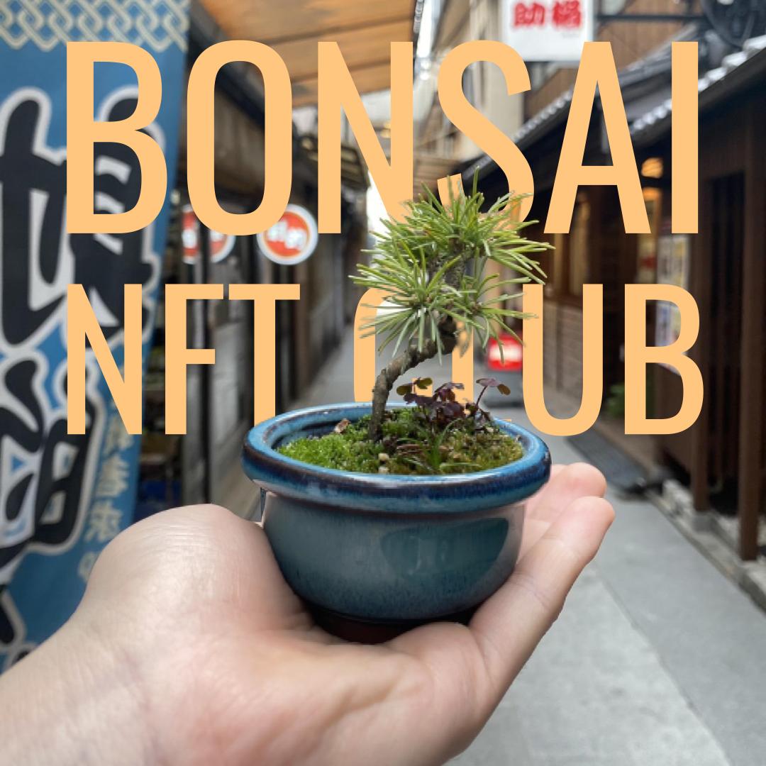 【SBINFTコラボ】NFTを買ってリアル盆栽が当たるキャンペーン！ | BONSAI NFT CLUB | SBINFT Mits - NFTでできることMitsでひとつに