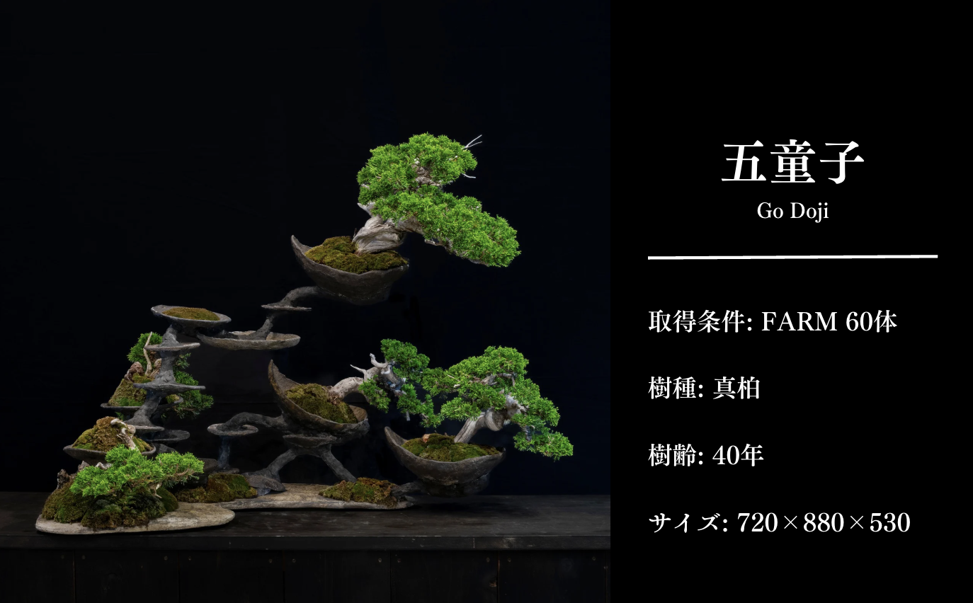 BONSAI NFT GALLERY (FARM×60体) | BONSAI NFT CLUB | SBINFT Mits - NFTでできることMitsでひとつに